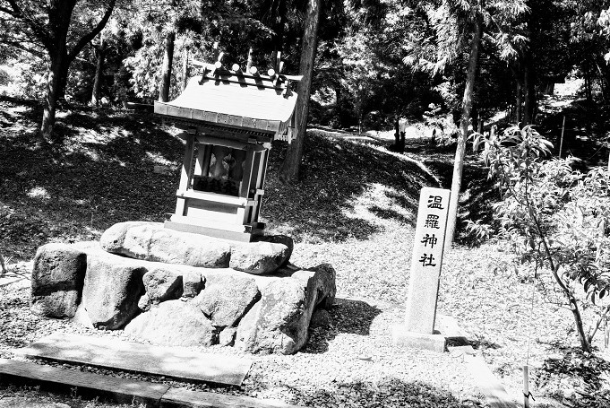 Latest News | Inari Kotsu - Okayama Taxi & Charter Bus